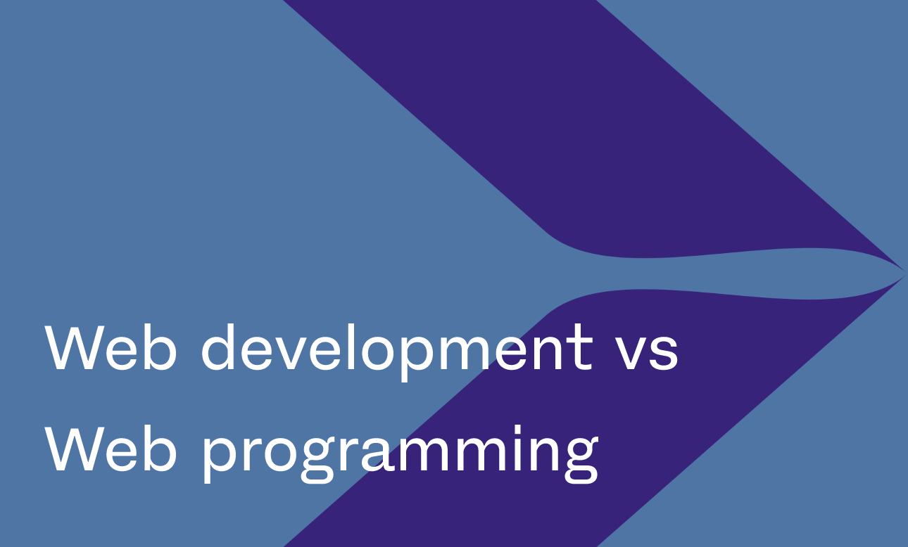 Web development vs Web programming: Understanding the Strategic Differ